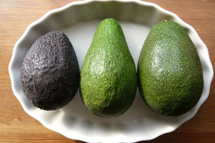 Abacate | Tipos de Abacate - Cozinha Técnica