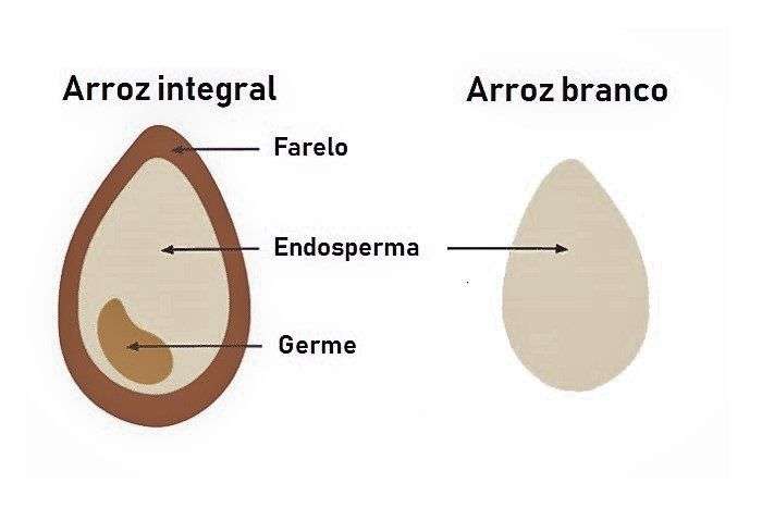 Arroz | Tipos de arroz - Cozinha Técnica
